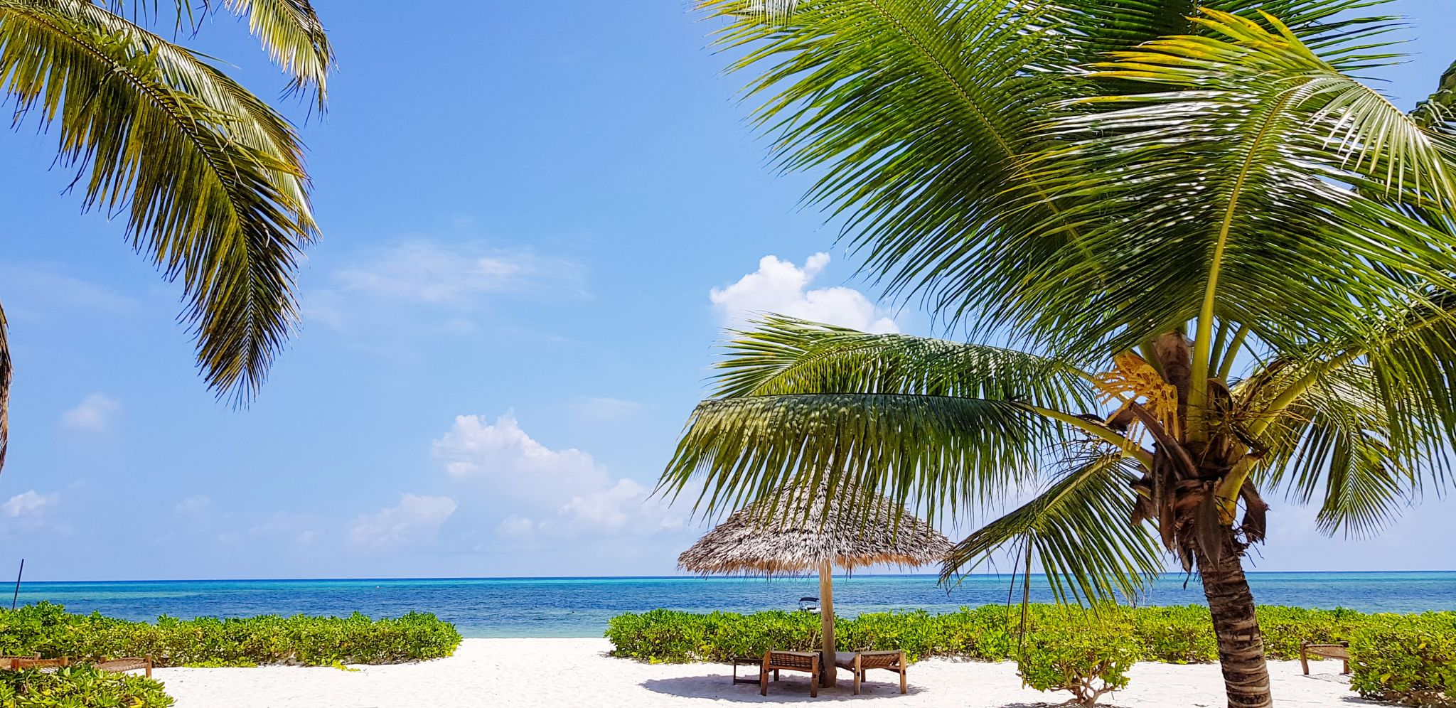 Zanzibar Island - Kili Slope Tours and Safaris